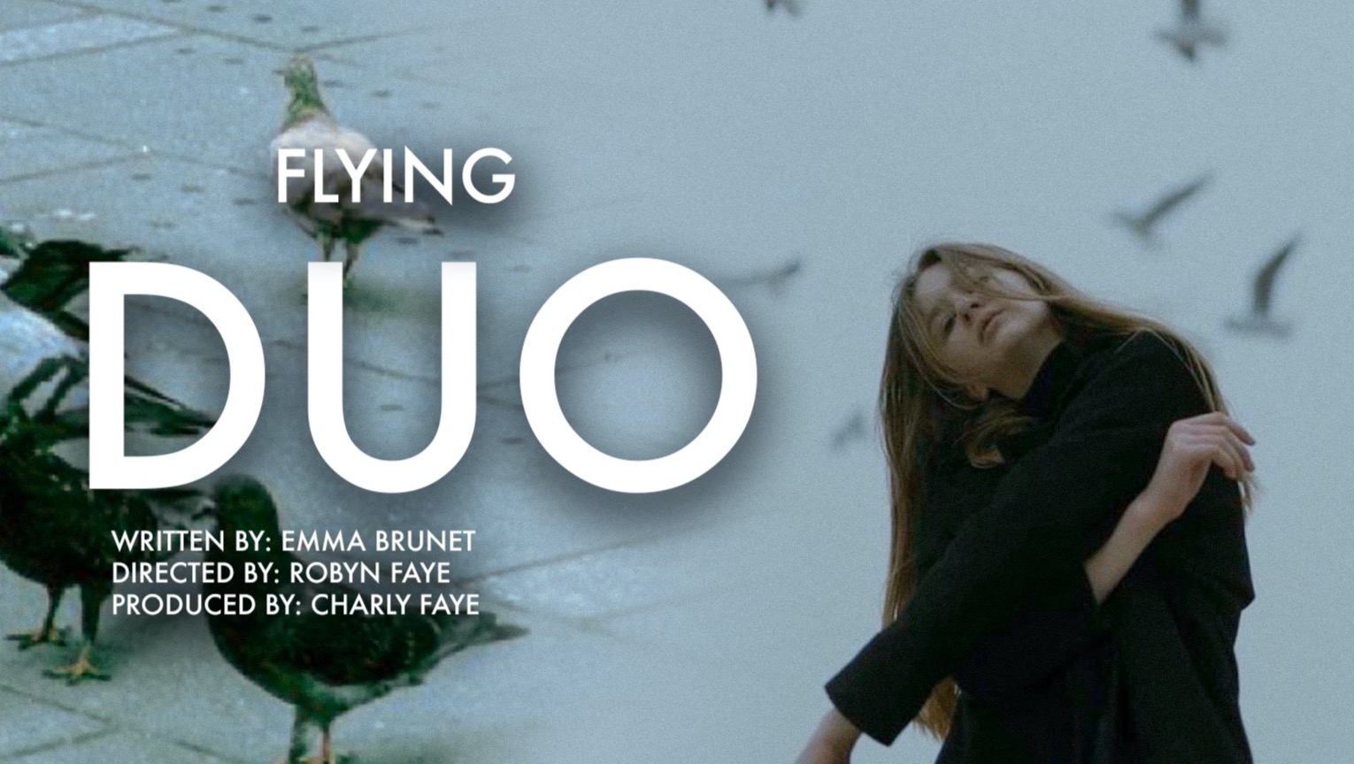 Fundraiser by Charlotte Ayers : Flying Duo - A Short Film