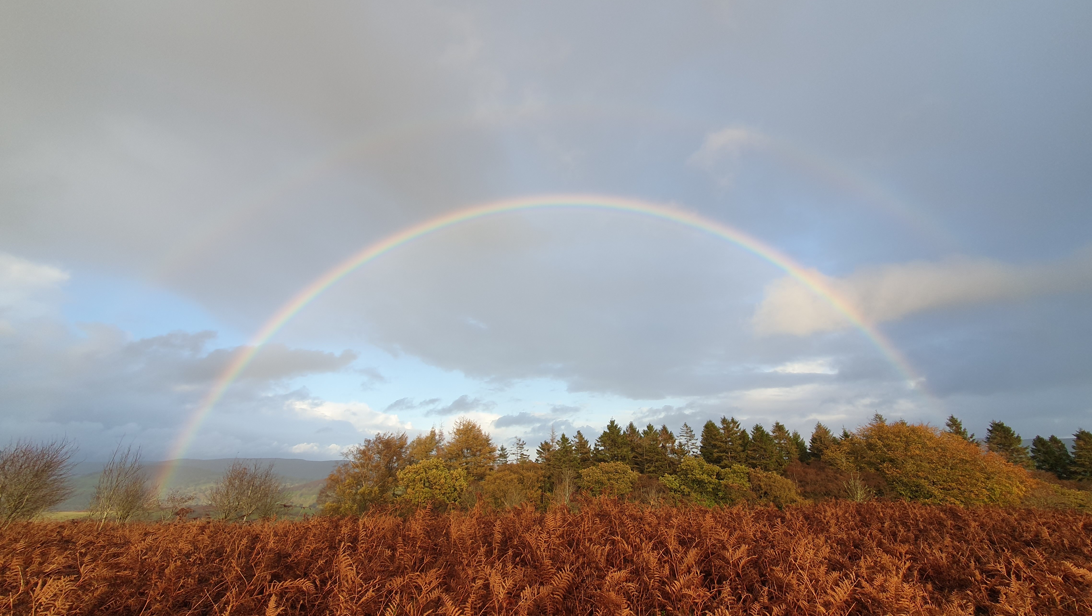 Fundraiser by Sonia Unsted : For Rhys and his family to make memories