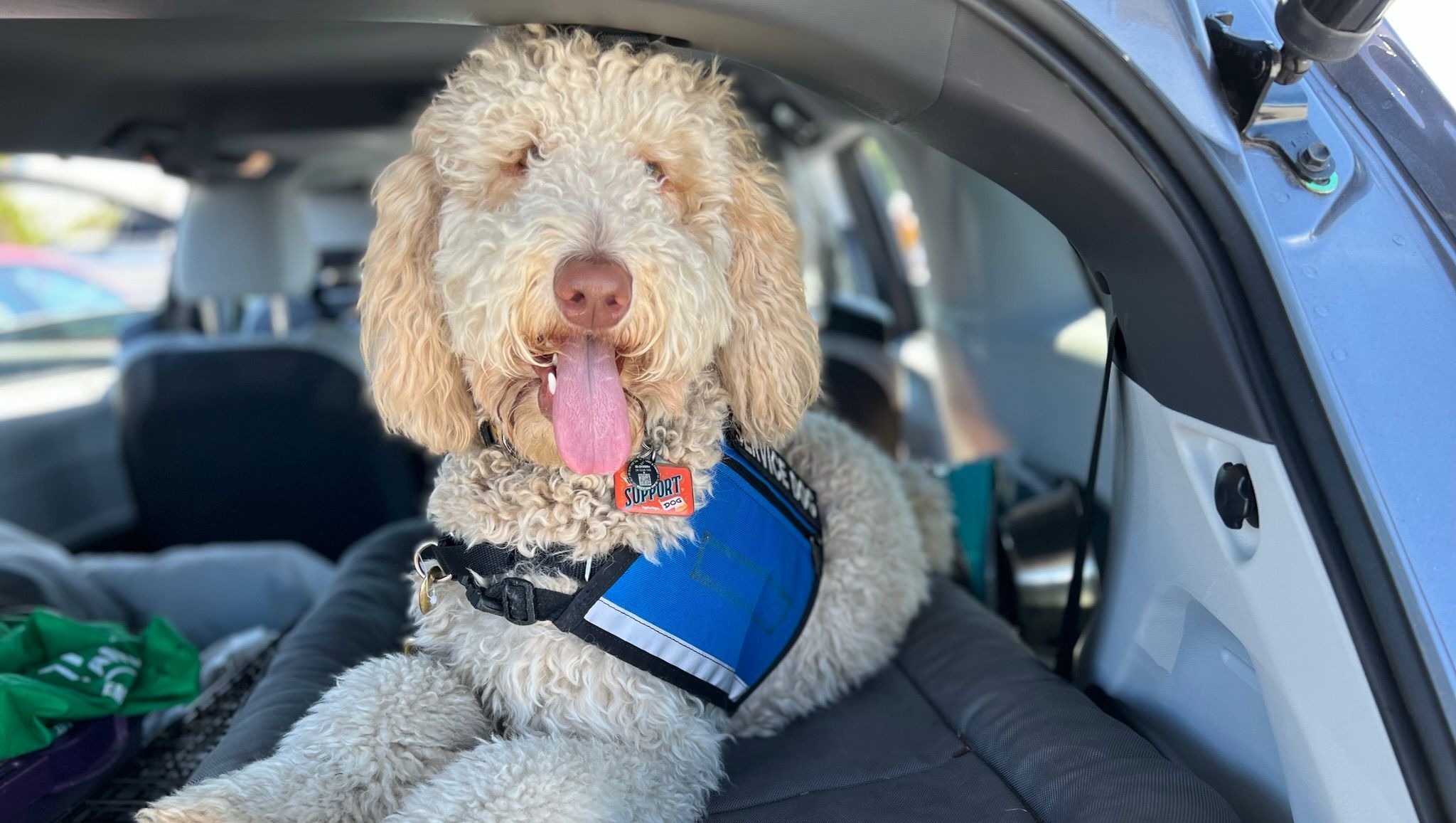 Fundraiser for Shawna Campbell by Kristy Wyllie : Bring Disney the ...