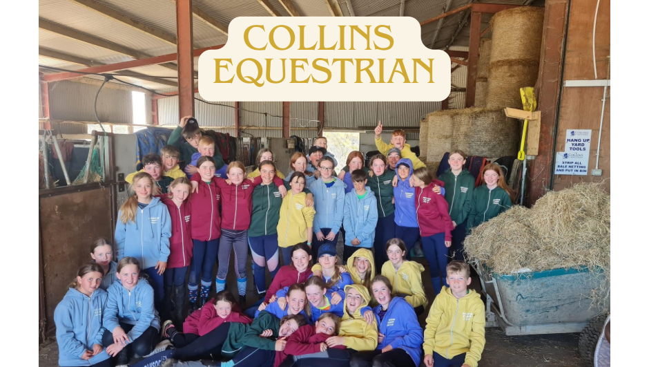 Fundraiser for Laura Collins by Shannon OMahony : Save Collins Equestrian