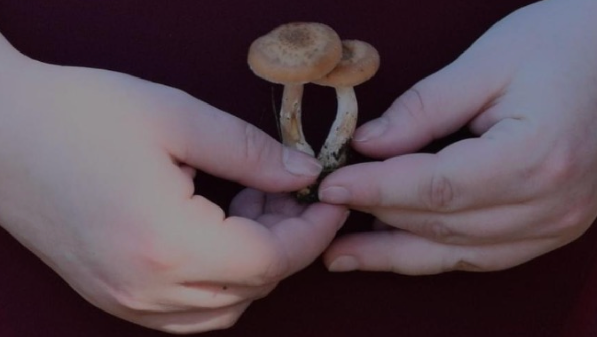 Fundraiser for Christopher Valentini by Rebecca Giaquinto : Help Chris ...