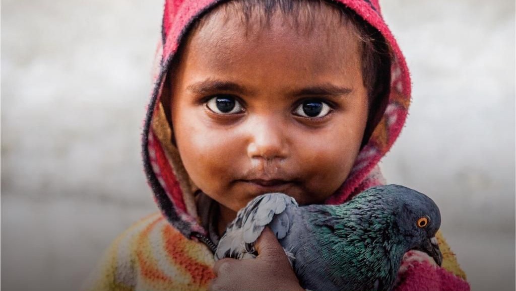 Fundraiser by Enos Moura Filho : Trip - Fighting the Sexual Traffic of Kids