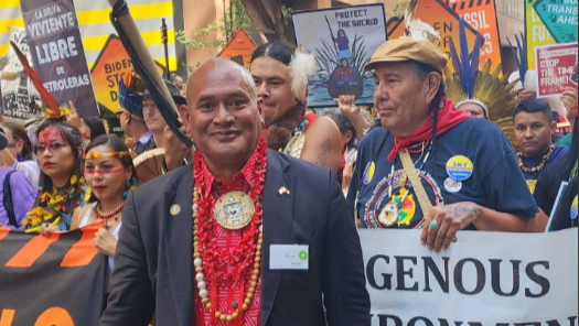 Fundraiser by Geordan Shannon : Indigenous representation from Tonga at ...