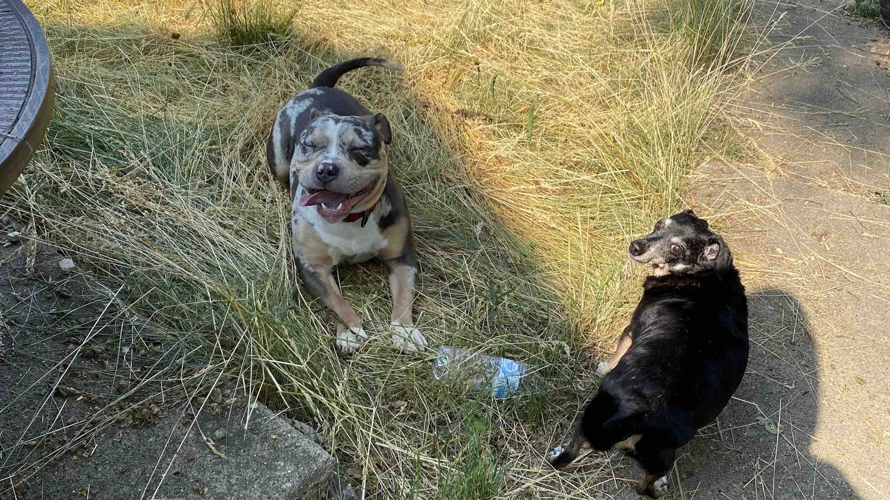 Fundraiser for Amanda Rademacher by James Brill : Help Amanda, Chris ...