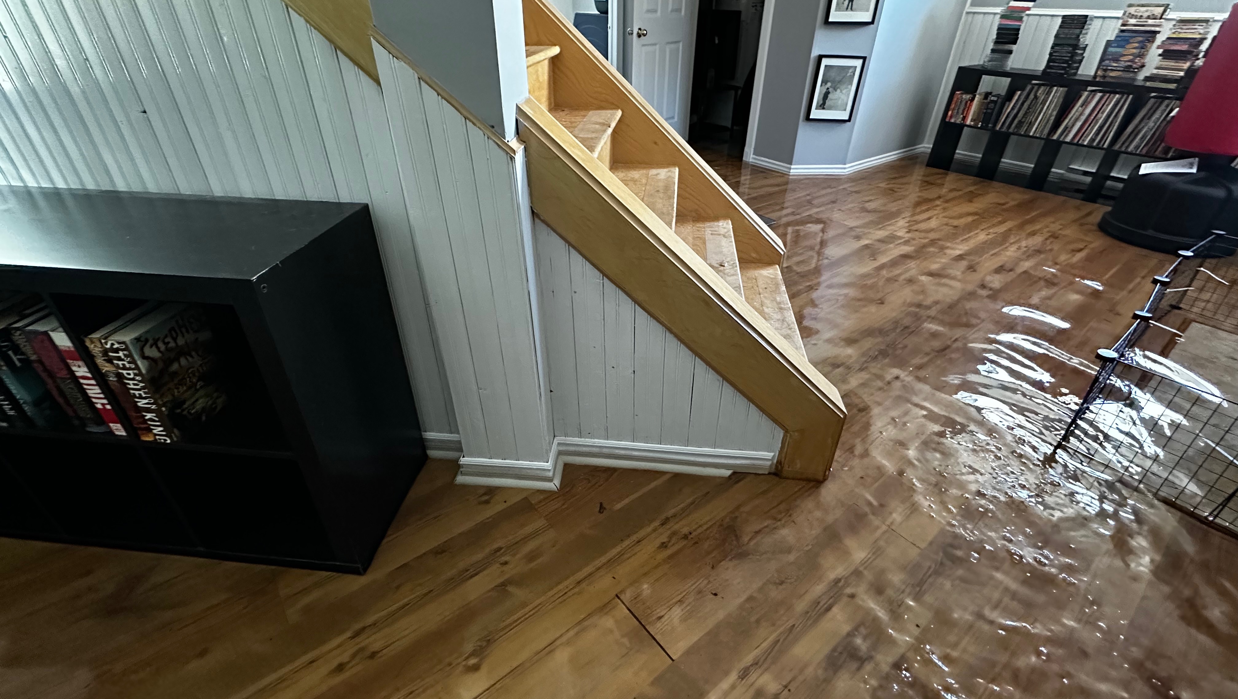 Fundraiser by Kerry-Ann Thompson : House flood turns into a nightmare