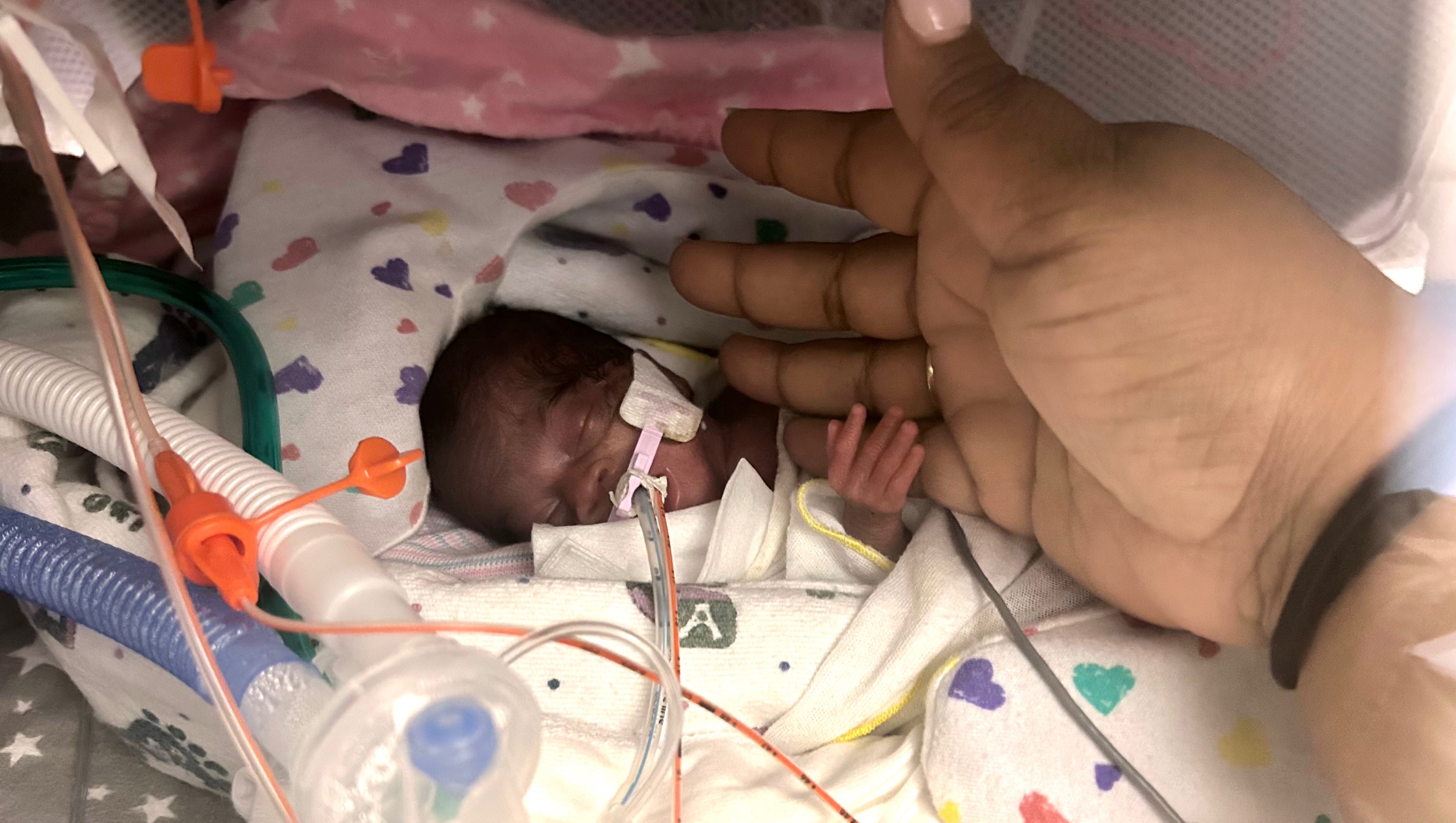 Fundraiser by Paris Sweeney Austin : Supporting Seiori’s Micro Preemie ...