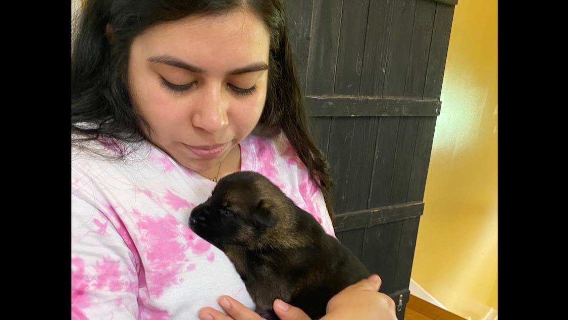 Fundraiser for Linda Campos by amanda campos : Support Francis