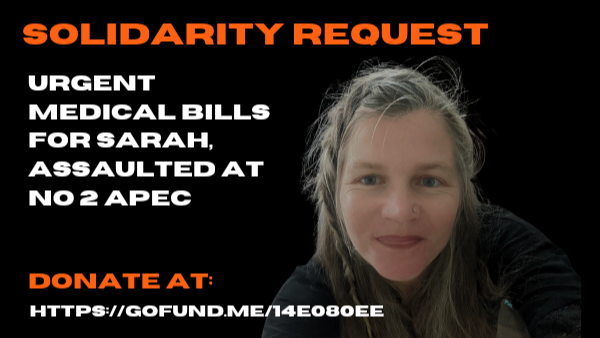 Fundraiser for Sarah White by Ben Jones : Solidarity for SF activist ...