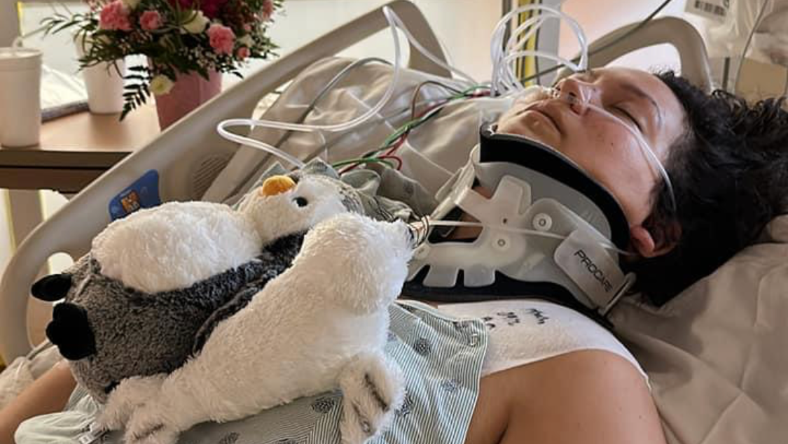 Fundraiser by Trisha Salinas : For my 4 Dog babies and medical