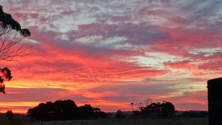 Fundraiser for Jean Bittle by Carley Smith : Bittle Family House Fire