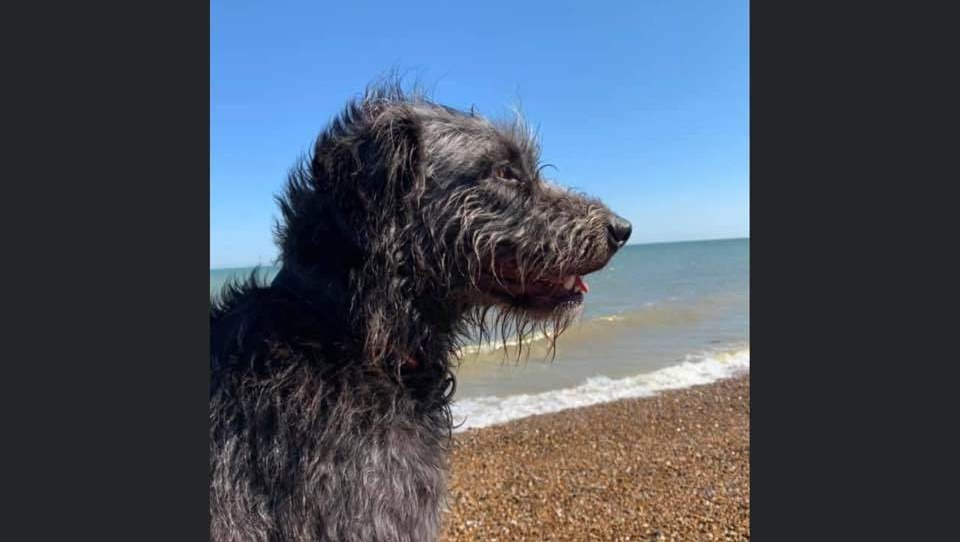 Fundraiser by Richard Yandle : Tyrone needs you