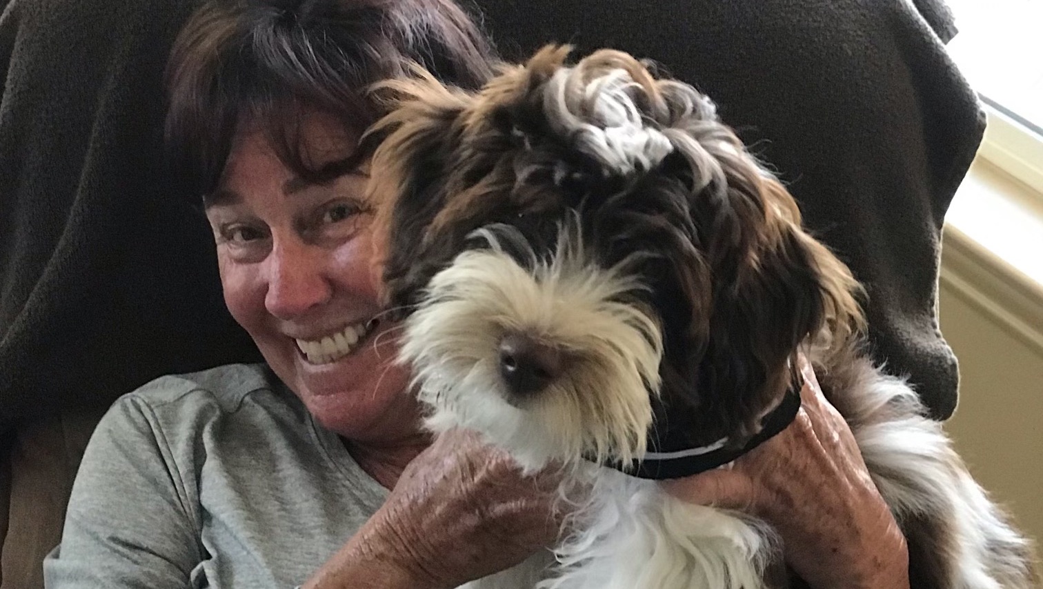 Fundraiser for Susan Bollinger by Jane Covert-Lannon : Rue’s Recovery Fund