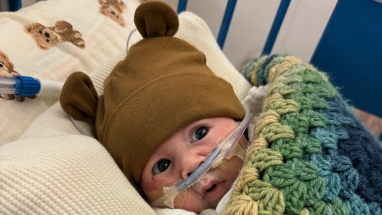 Fundraiser by Gina Rhoden : Baby Link Needs your Help