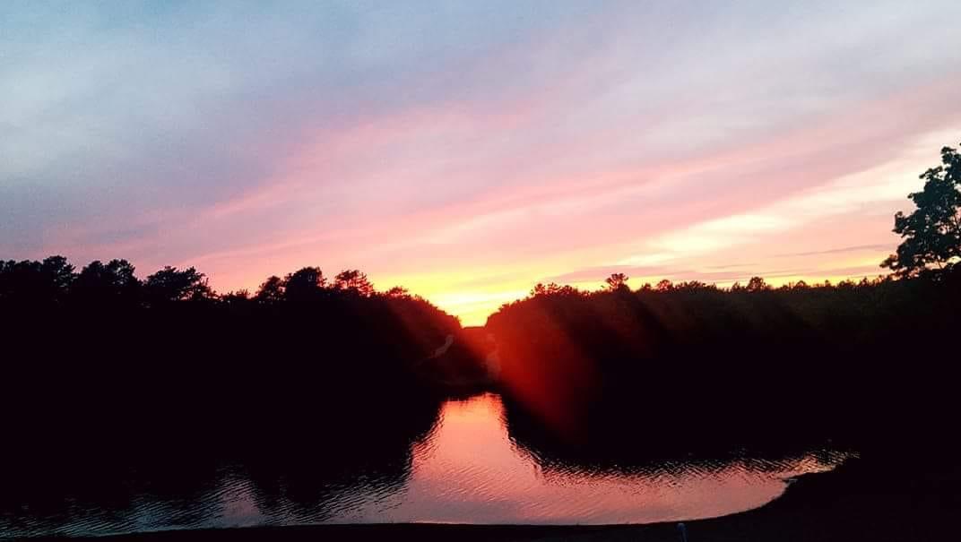 Fundraiser by Craig Geddis : Carol Malonson memorial Plaque at the ...