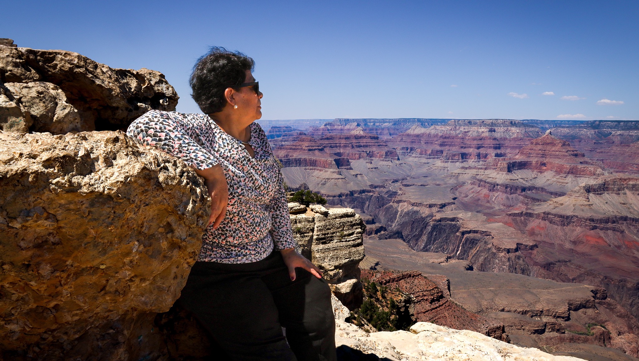 Fundraiser for Cynthia Arias by Jeffrey Arias : Ana Alicia Cardoso