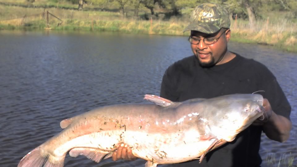 Fundraiser for Holden Roberts by Meche Roberts Jr. : Funeral Cost for ...