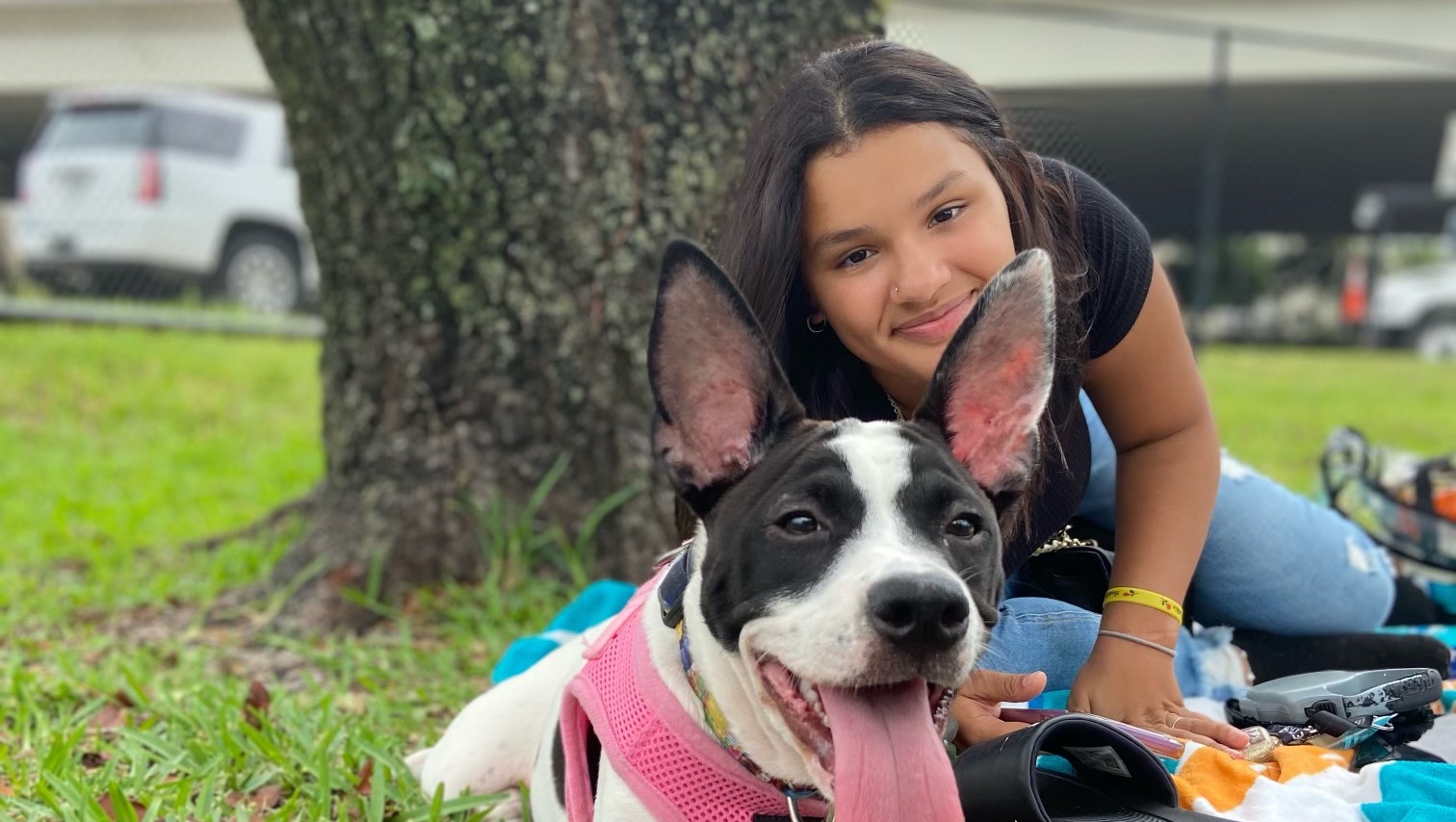 Fundraiser by Nicole Maldonado : Help Save Oreo's Smile! ️