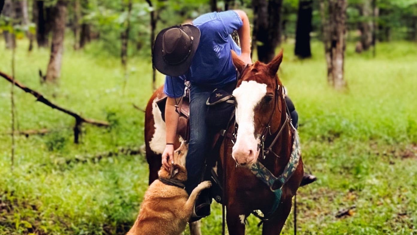 Fundraiser by Kelsey Eliot : Stanley the Wonder Pony