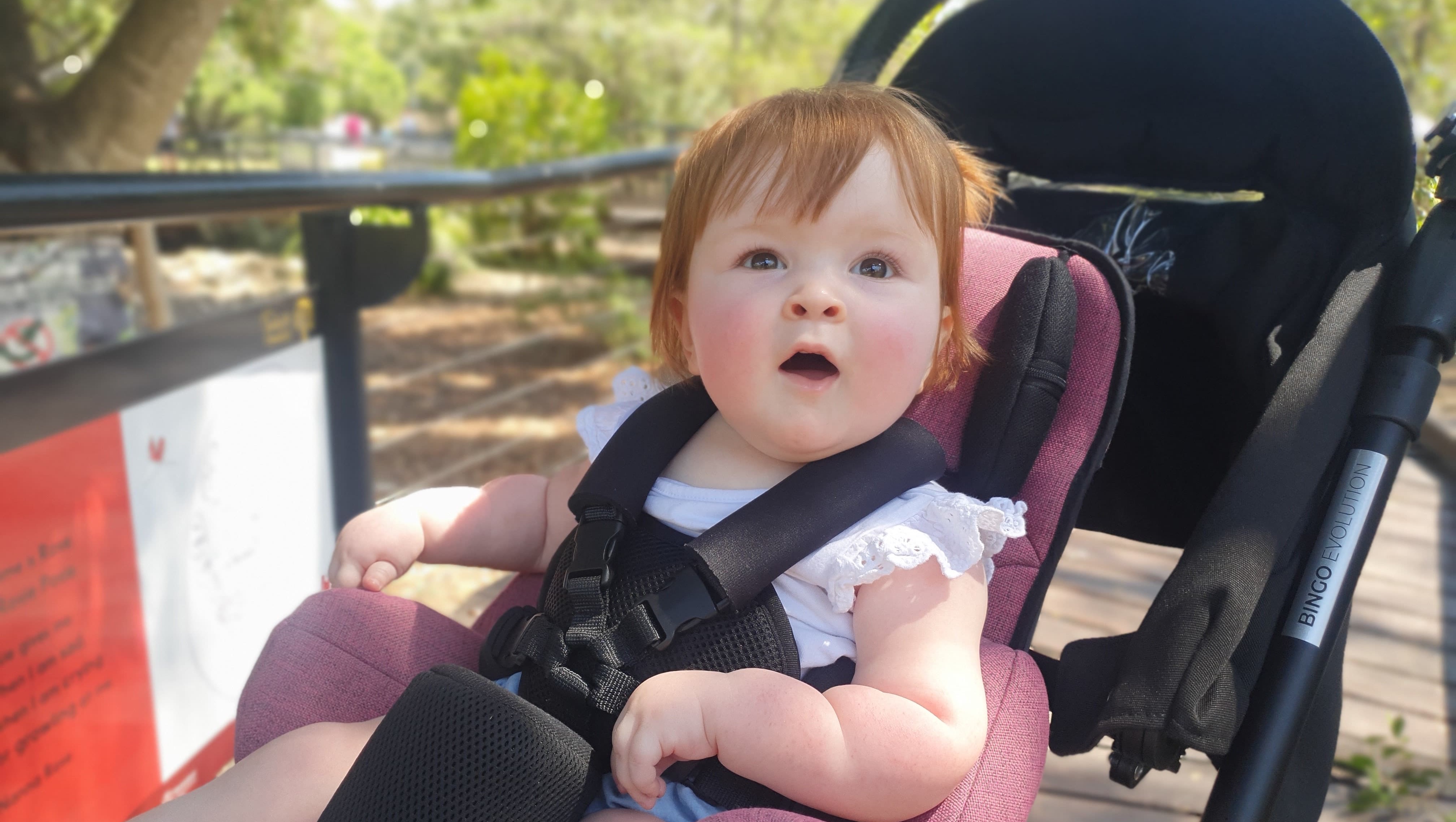 Fundraiser for Rachel Tracey by Cheryl Bergman : Ava’s Wheelchair ...