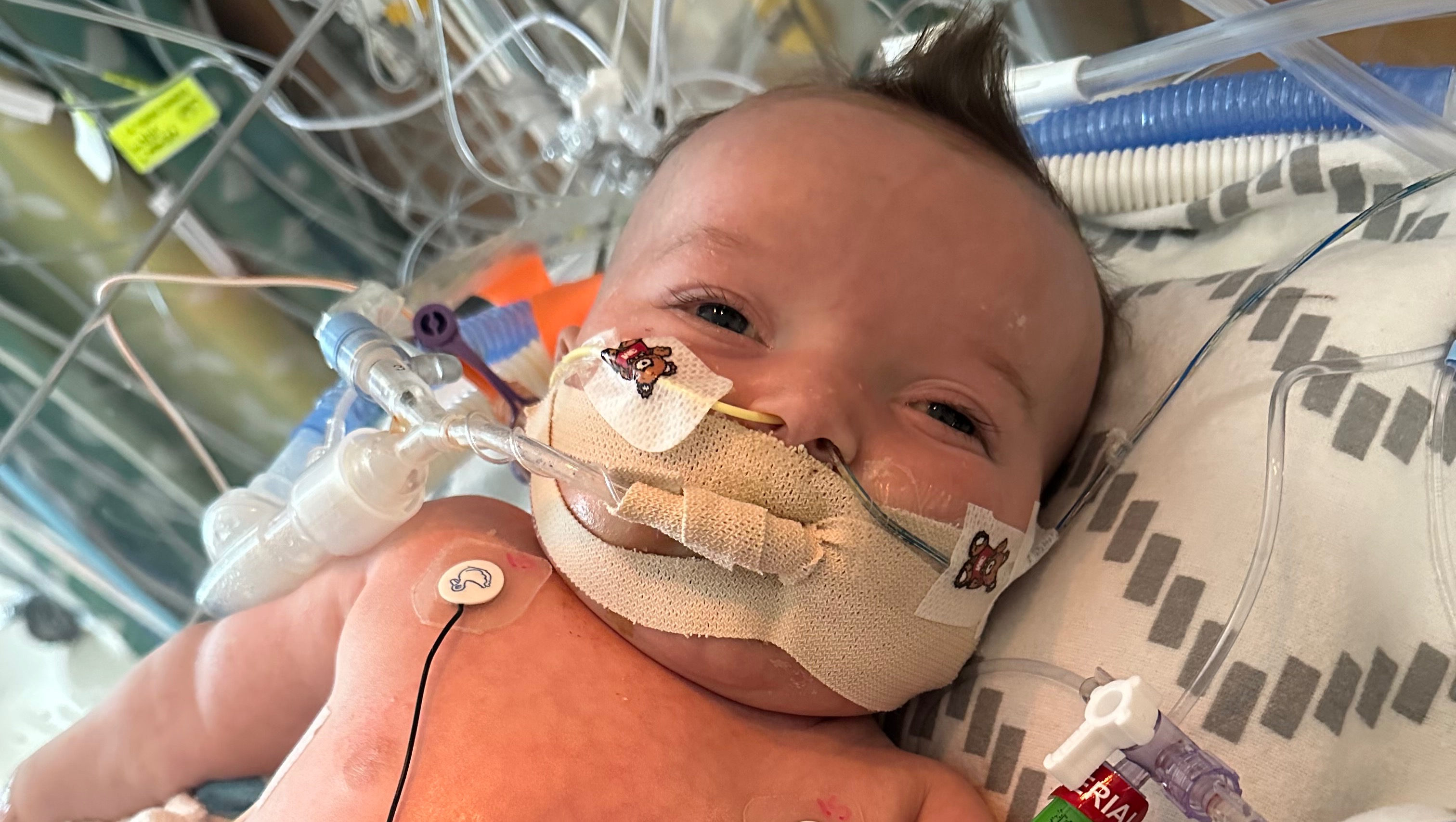 Fundraiser for Joseph Merino by Dina Pogroszewski : Hudson Merino’s ...