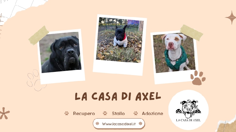 Fundraiser for Francesca Nassi by Paola Ferrieri : Realizzazione ...