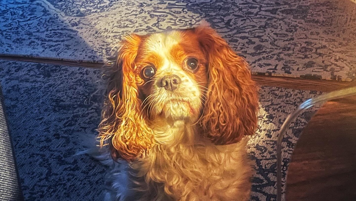 Fundraiser by Jennifer Pyle : Please help Christine(Gebhart) and Sean ...