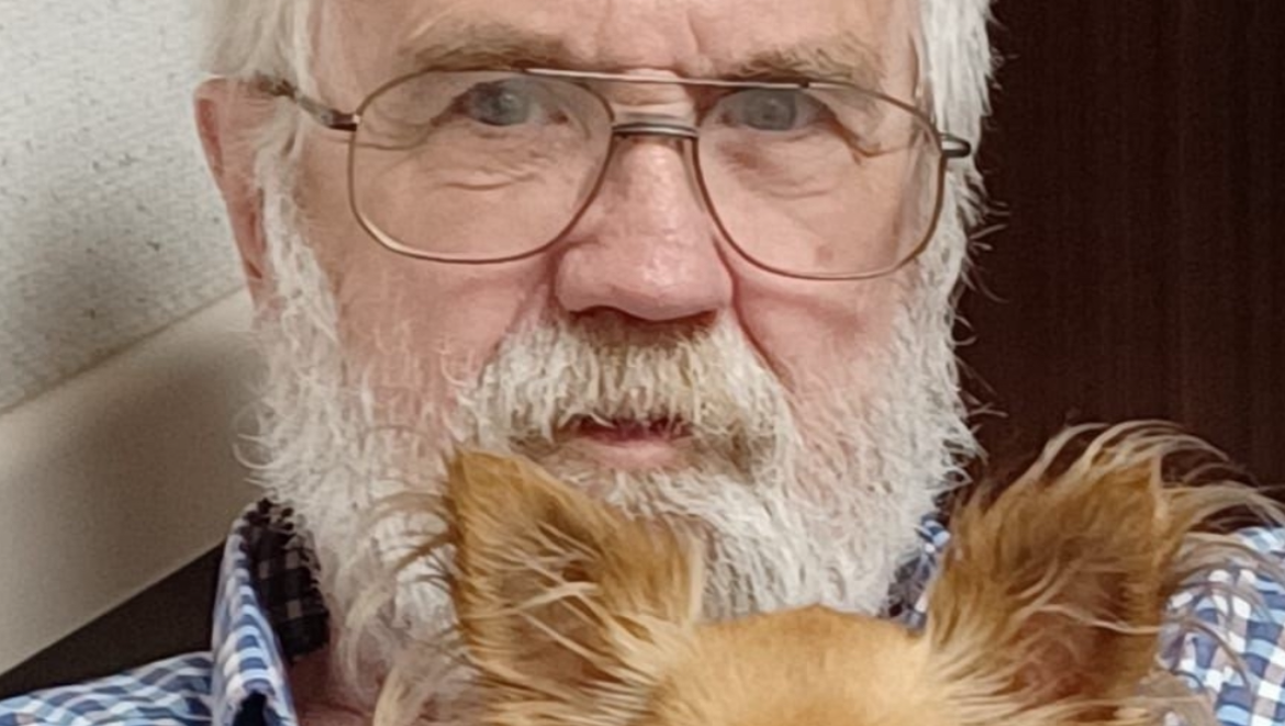 Fundraiser for Barbara Ruhlman by Andrea Luce : Equine Transport Randy ...