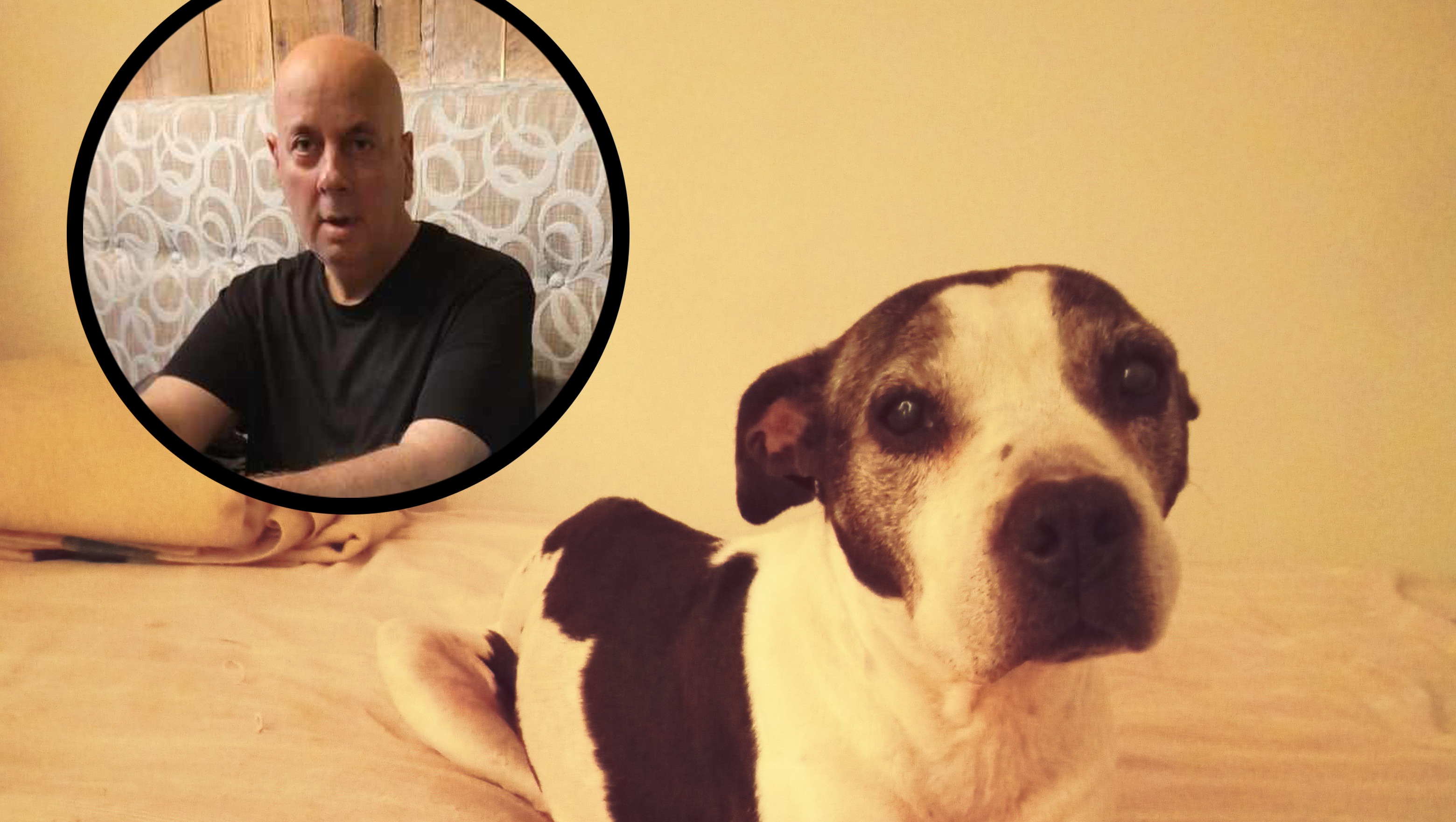 Fundraiser by Mario Allard : Aidez '' FRIP '' qui a perdu sa seule ...