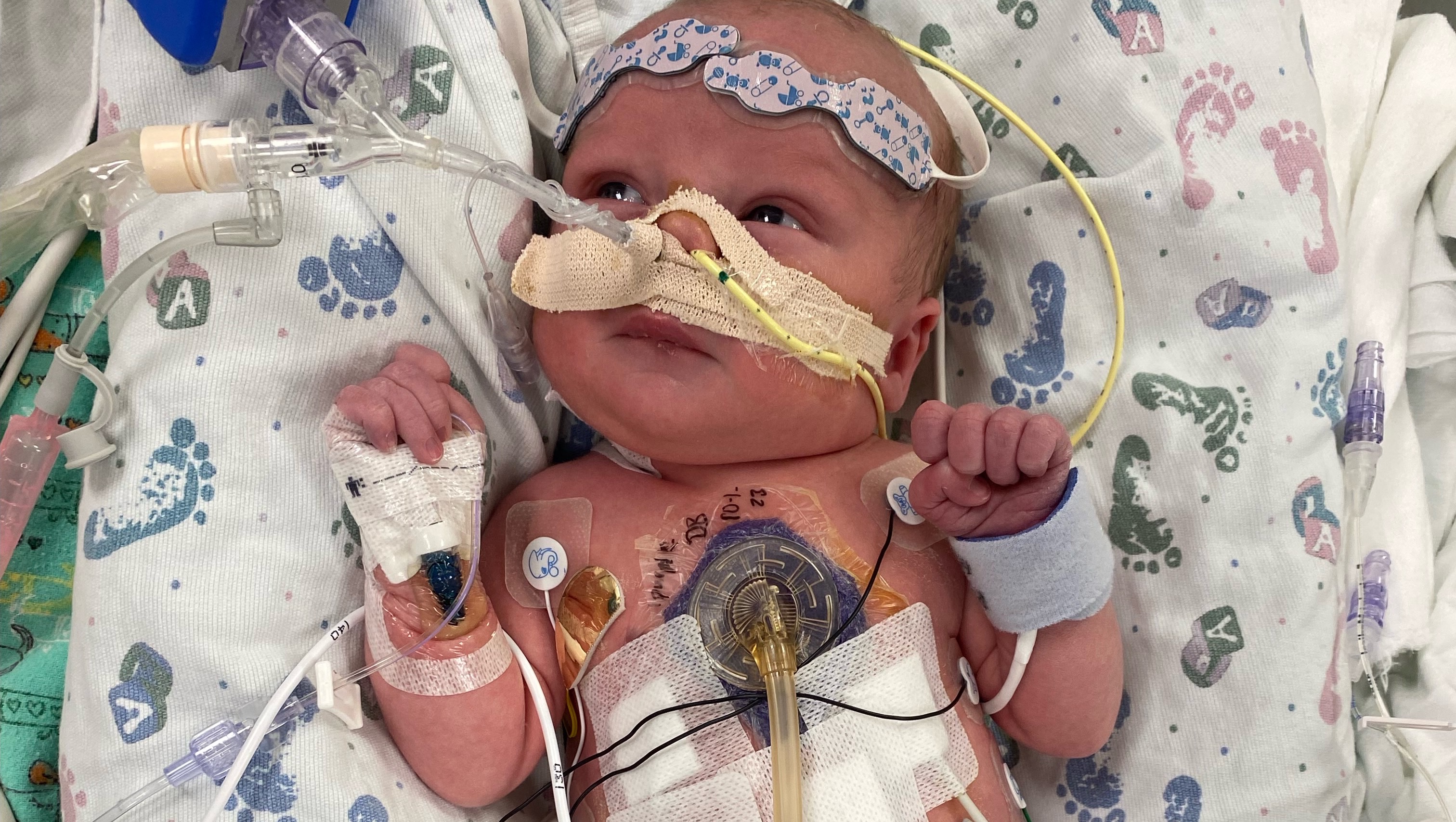 Fundraiser by Laurel Creel : Logan's Heart Journey