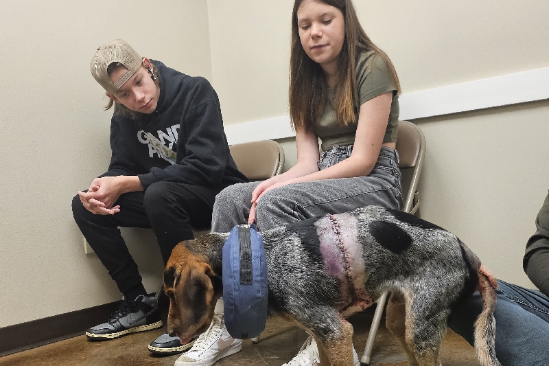 Fundraiser by Jamie Medema : Help Darryl Heal