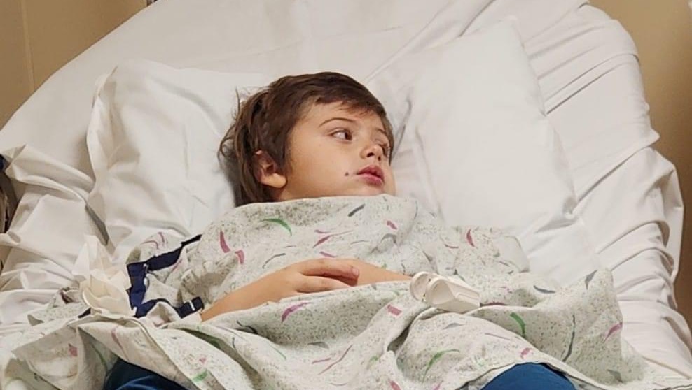 Fundraiser by Megan Papesh : Brennan