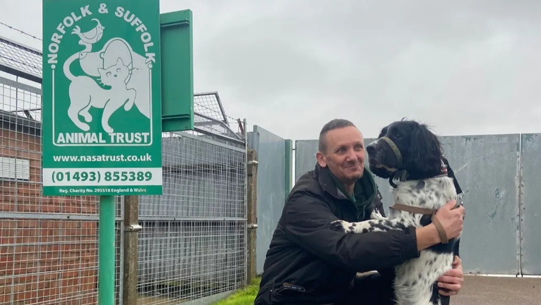 Fundraiser by Phil Stevenson : I'm raising money to help homeless dogs