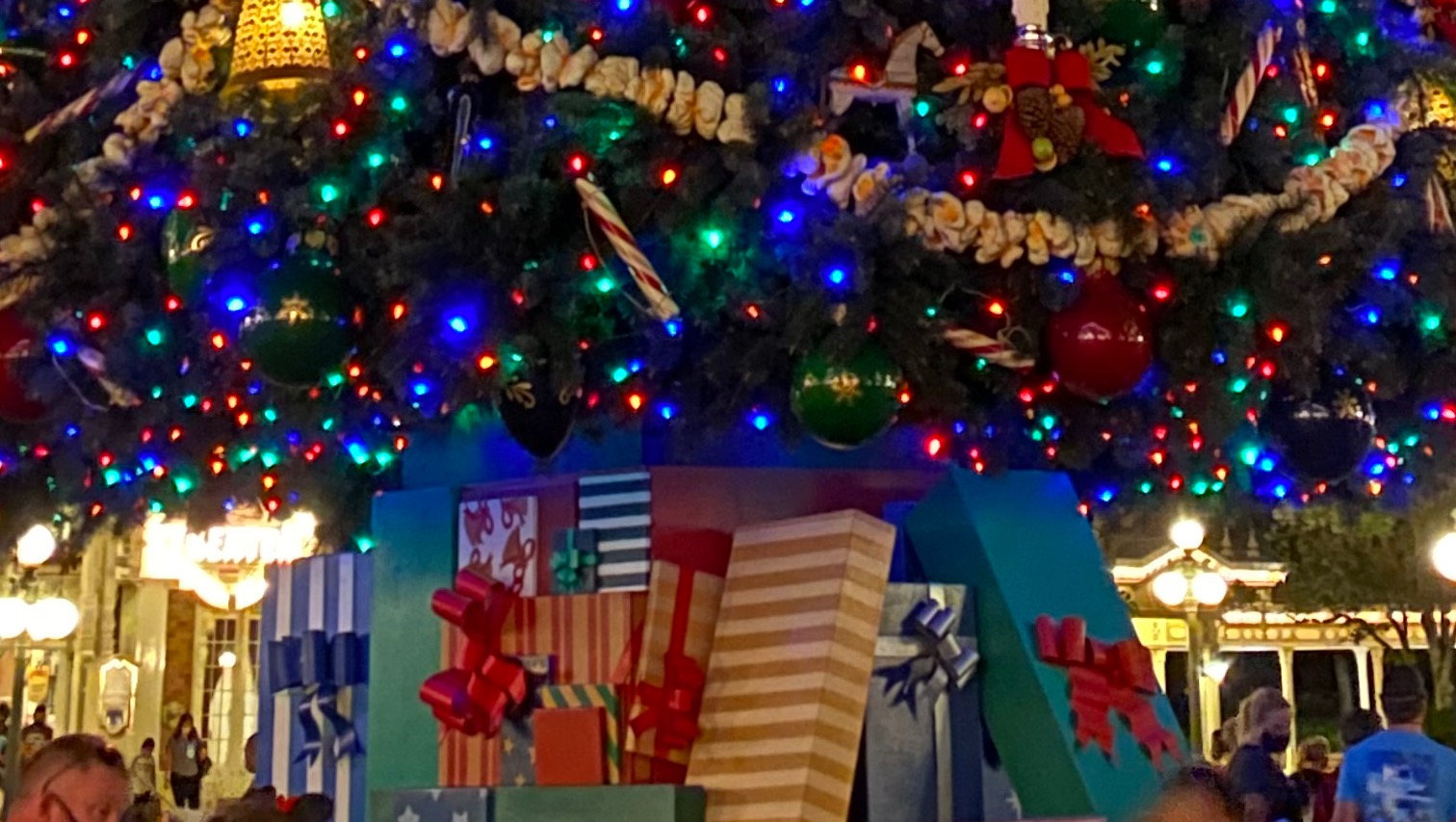 Fundraiser by Robin Carter : Neighborhood Luminaries