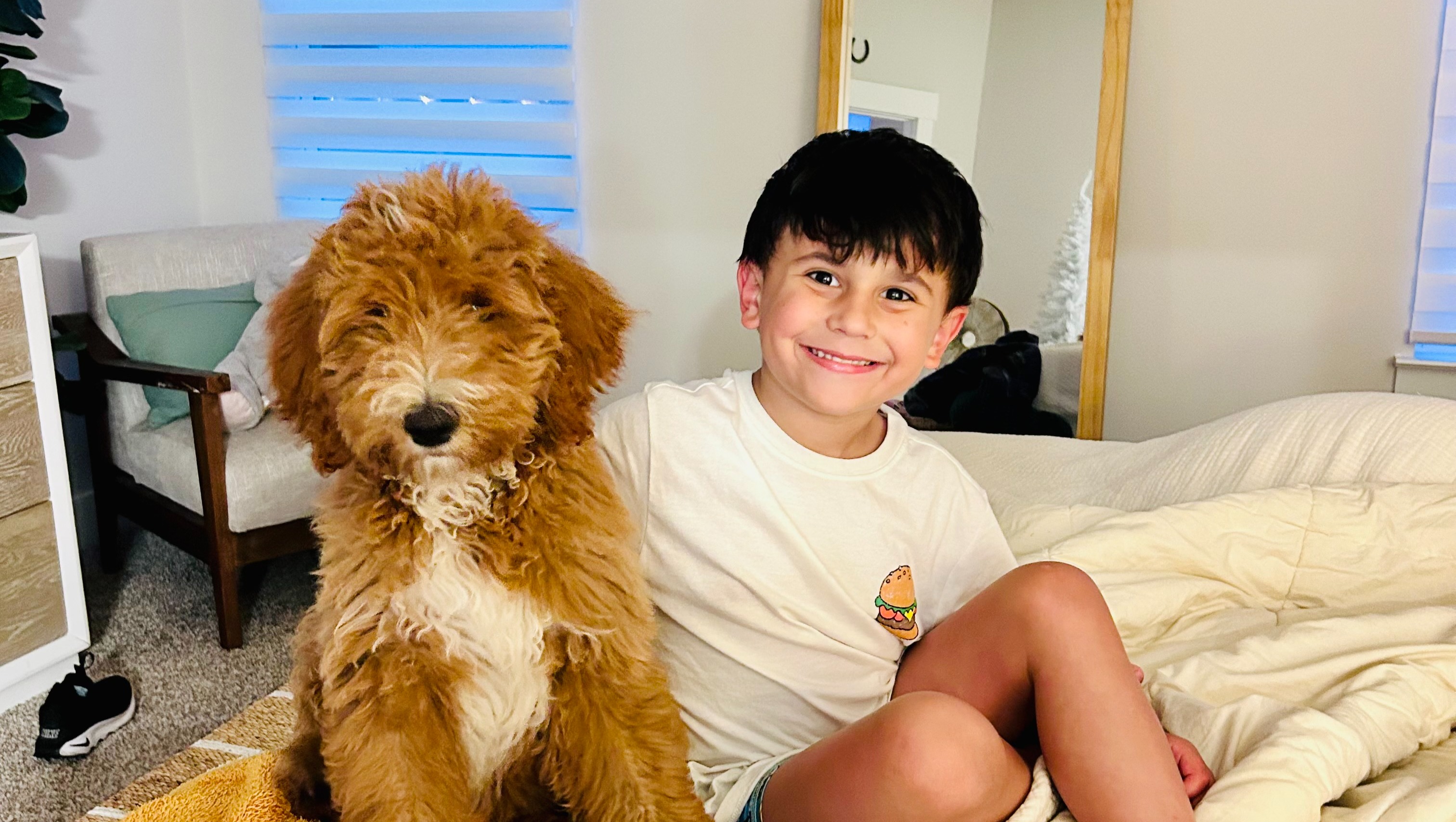 Fundraiser by Rachel Kohar : Autism Therapy Dog For Jace