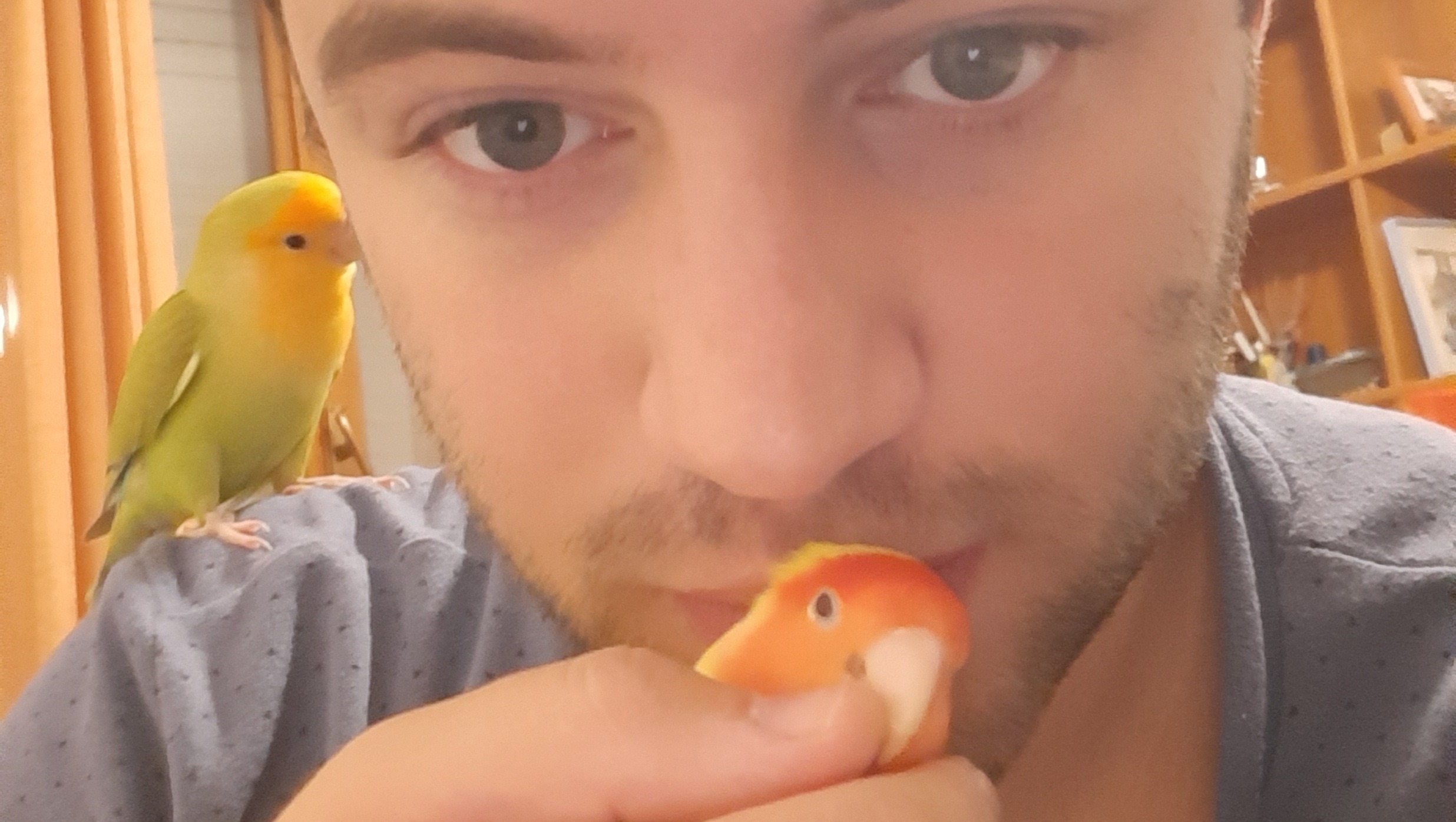 Fundraiser by Henri Isufi : Help Me Build My Future: A Writer’s Home