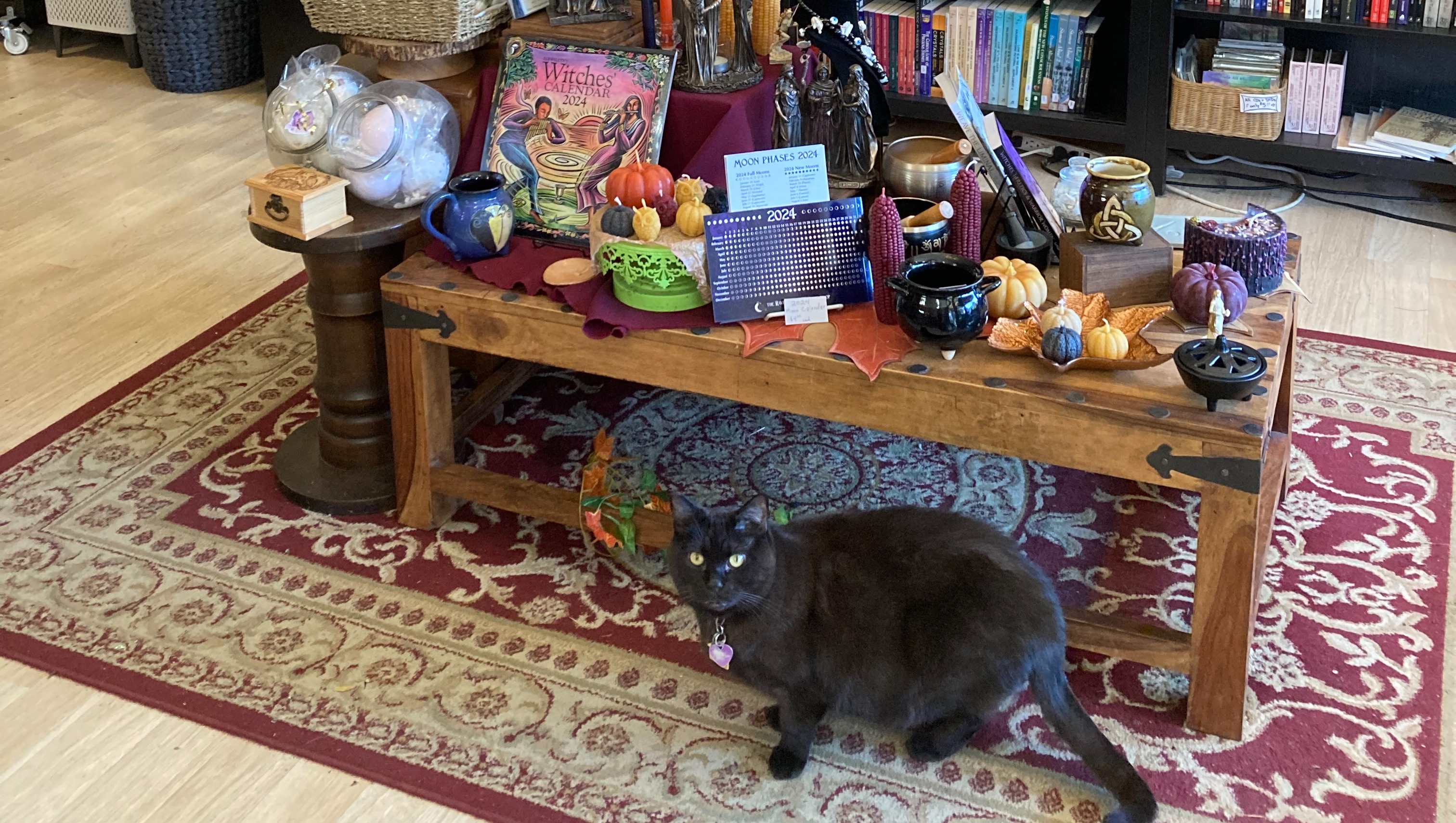 Fundraiser by Ravens Wing : Keep us flying at The Raven's Wing Magical ...