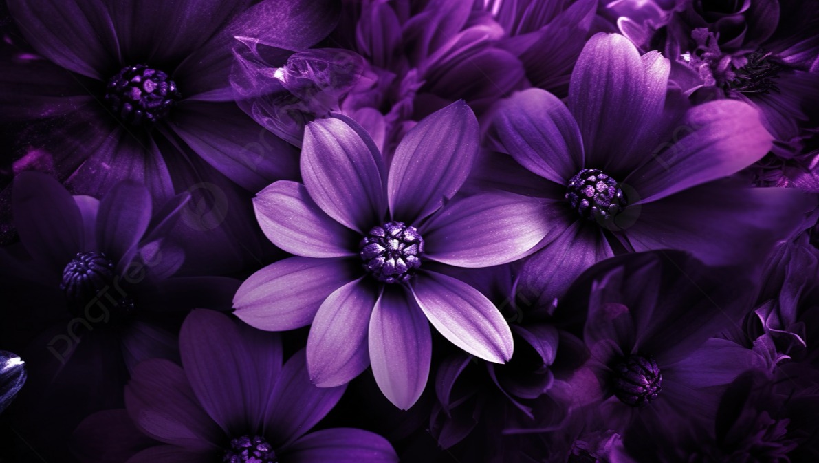Fundraiser by Violeta Ivanescu : Cristina's Journey to Recovery