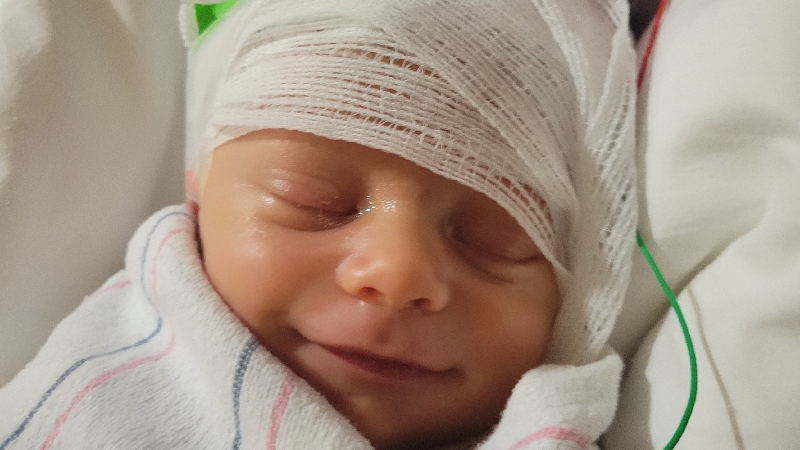 Fundraiser by Danielle Marie Fischbach : Help Bodhi and Mama through ...