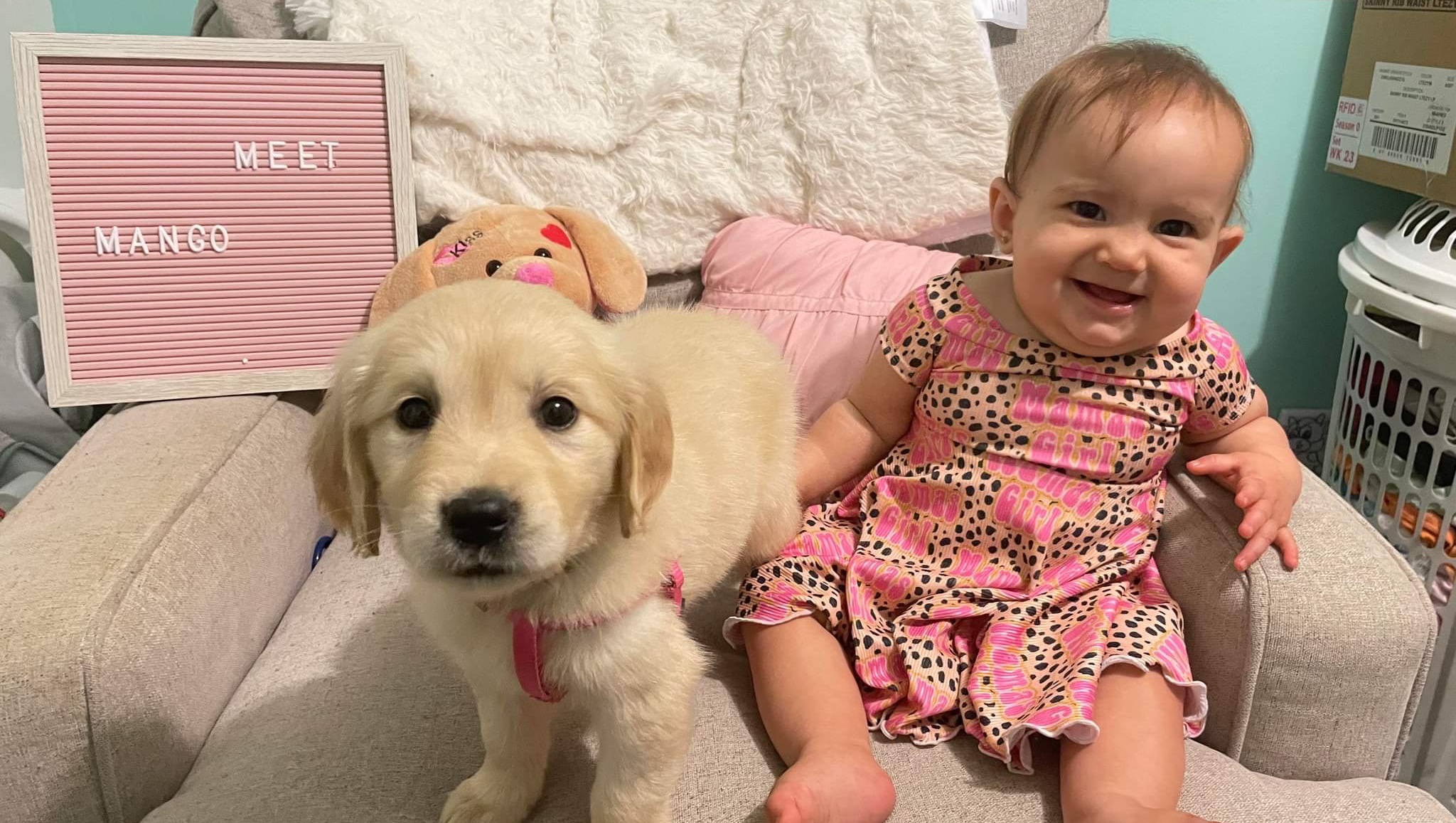 Fundraiser by Meg Bassett : Help Rory get her Golden Retriever puppy!