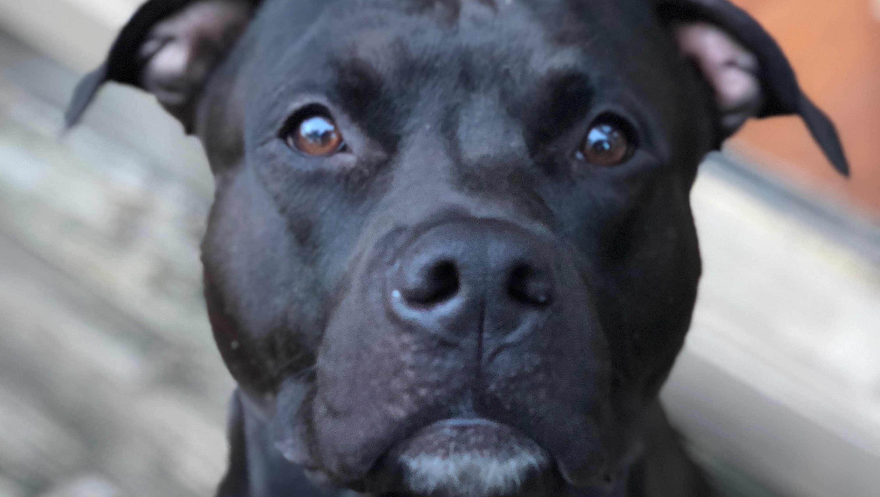 Fundraiser by Heather Rumphol : Help us save our baby boy.