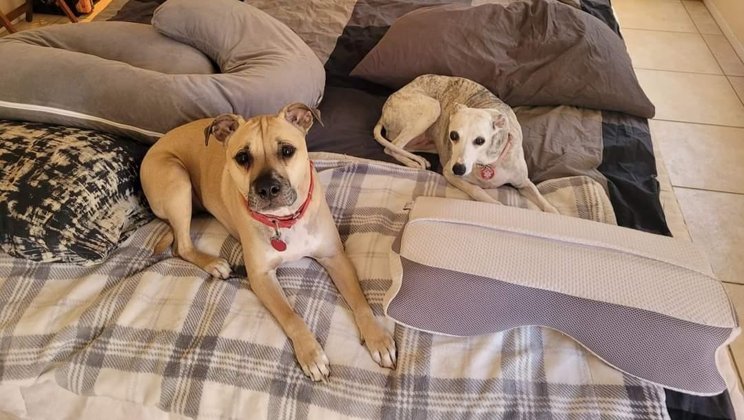 Fundraiser for Kenneth Berg by Sunny Megatron : Ken Caravan: Help Get ...