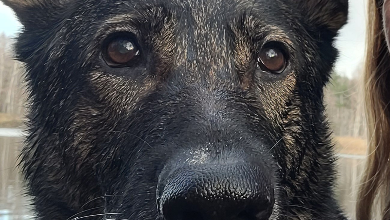 Fundraiser for Jennifer Müller by Monique Hartmann : Loonys Milz OP