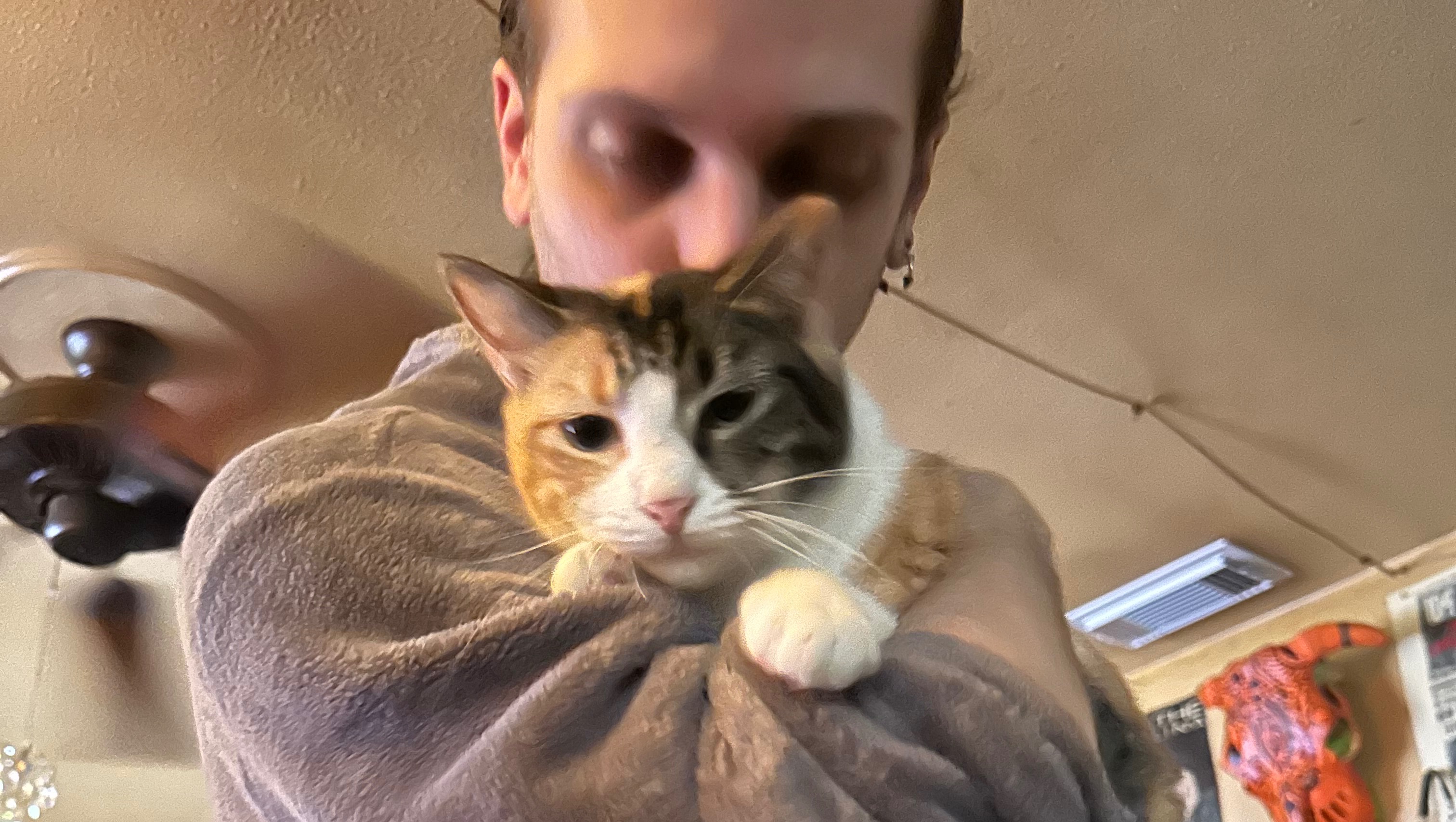 Fundraiser by Ivey Brown : SURGERY WENT WELL! AFTERCARE VETTING,ITEMS ...