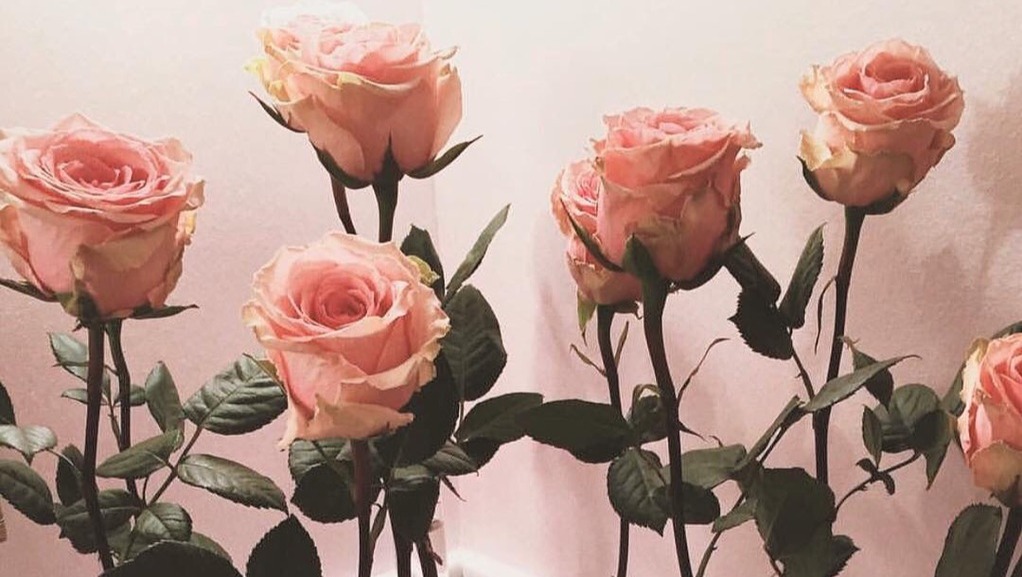 Fundraiser by Jessica Varner : Help us lay Susan Varner to rest