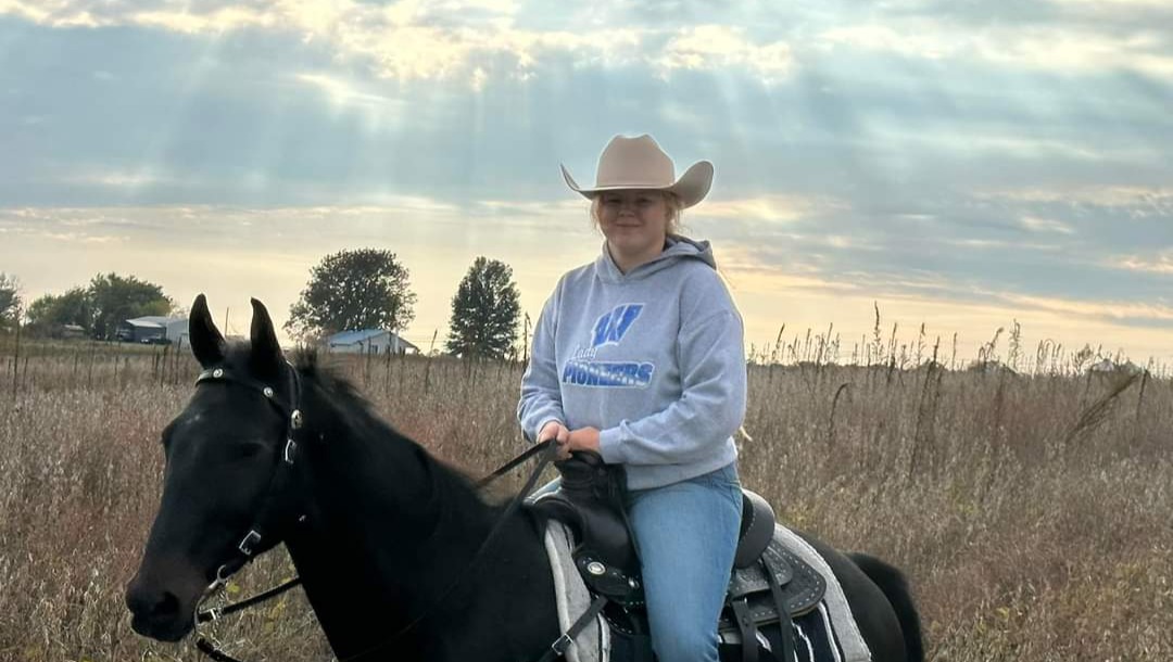 Fundraiser for Robin Bain by Amy Parker : In memory of Bella Bain