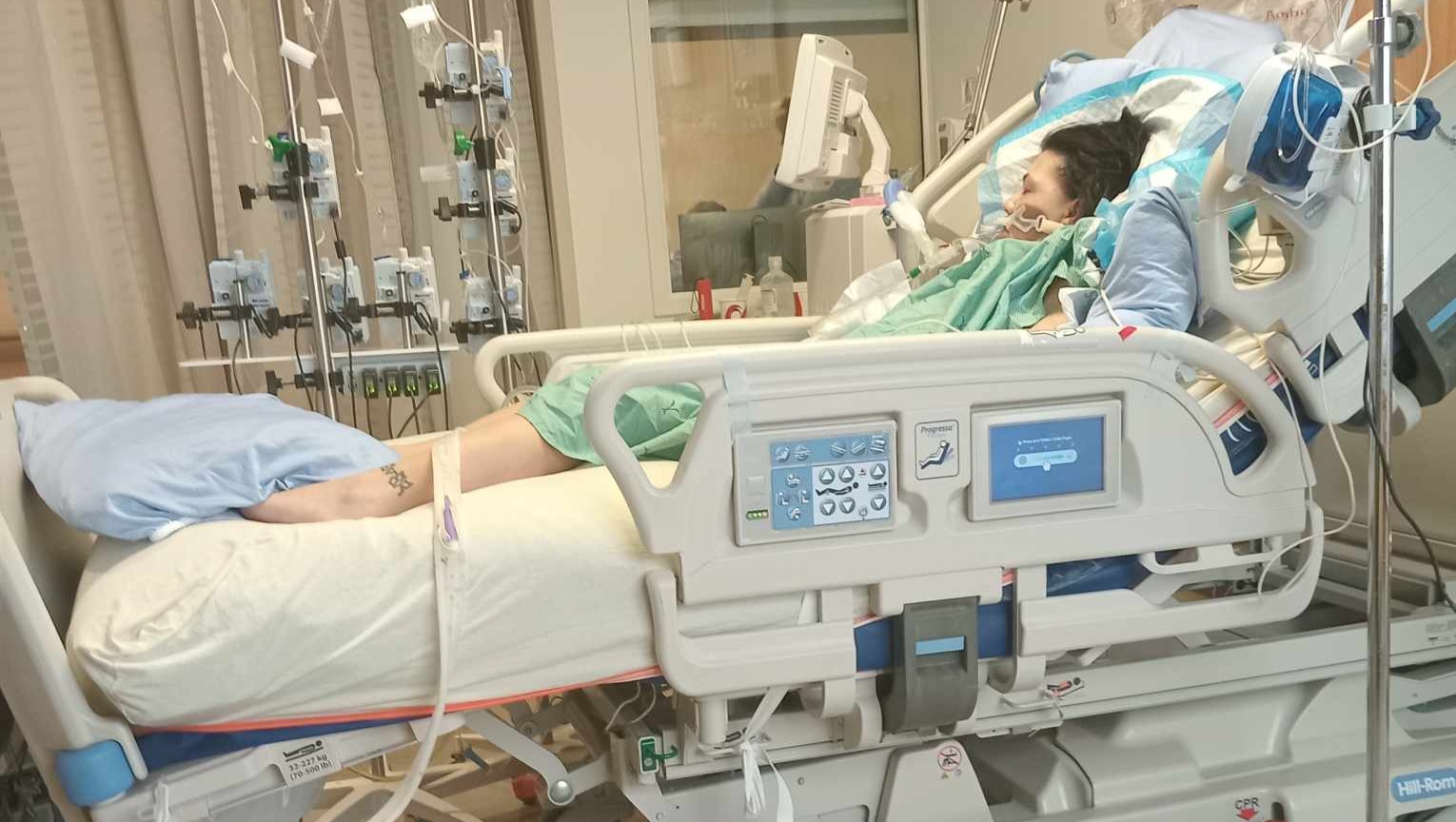 Fundraiser by Tracy Mckay : Need to get her home to Winnipeg from Toronto