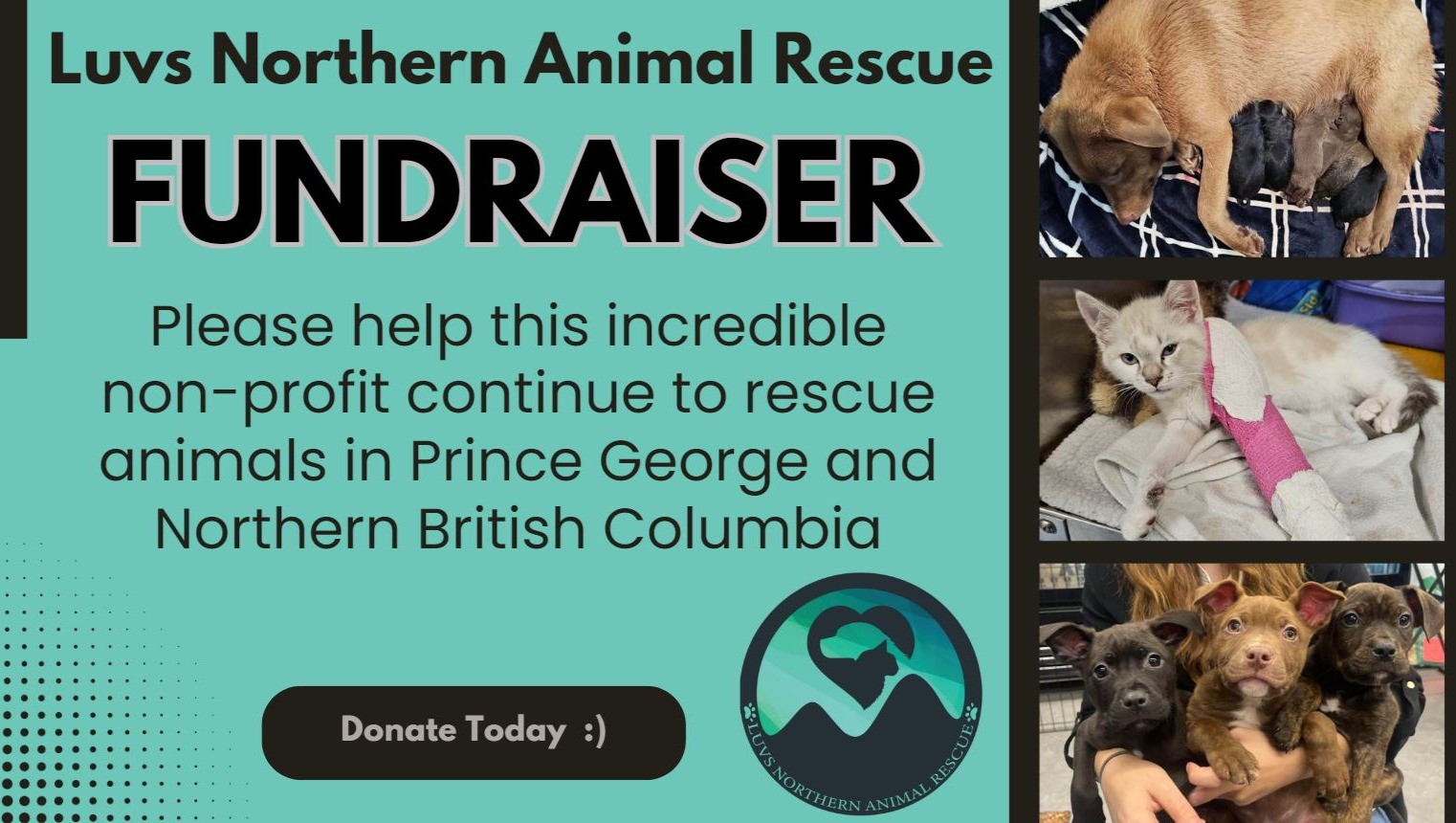 Fundraiser by Scott McWalter : Luvs Northern Animal Rescue Needs Our Help!