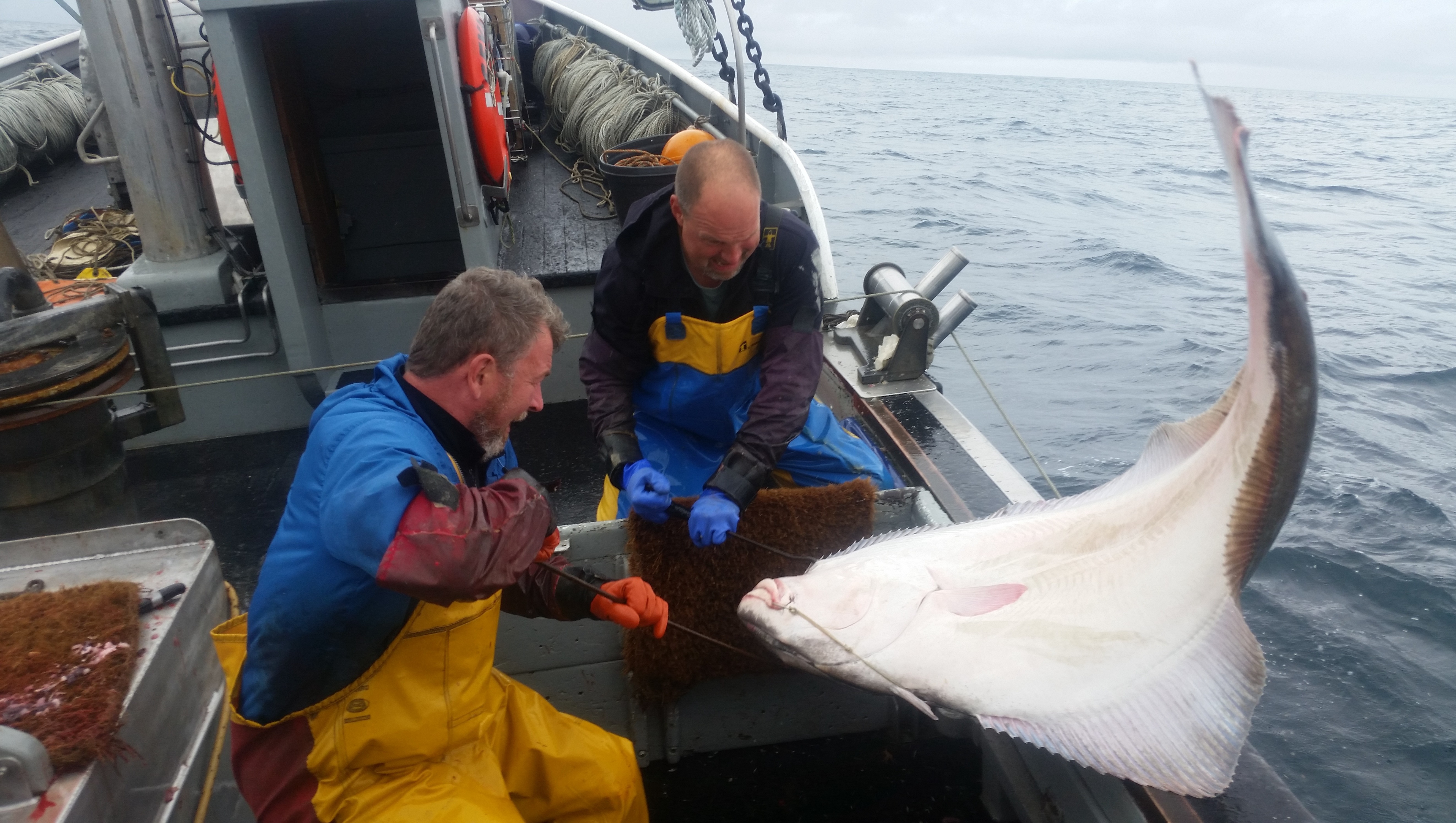 Fundraiser by Alaska Marine Conservation Council : Help Stop Halibut ...