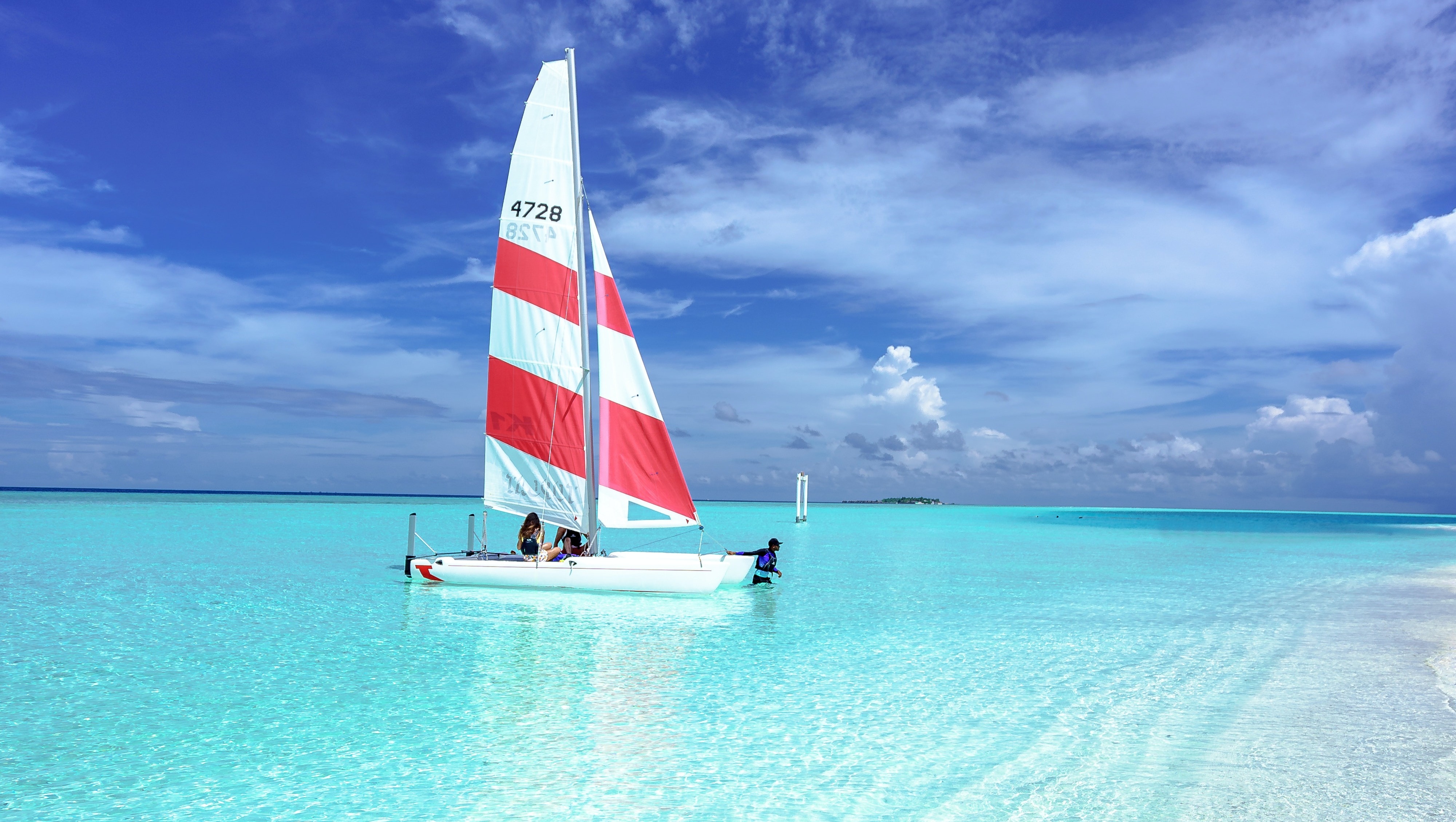 Fundraiser by Roseanne Terry : Tripoli Book