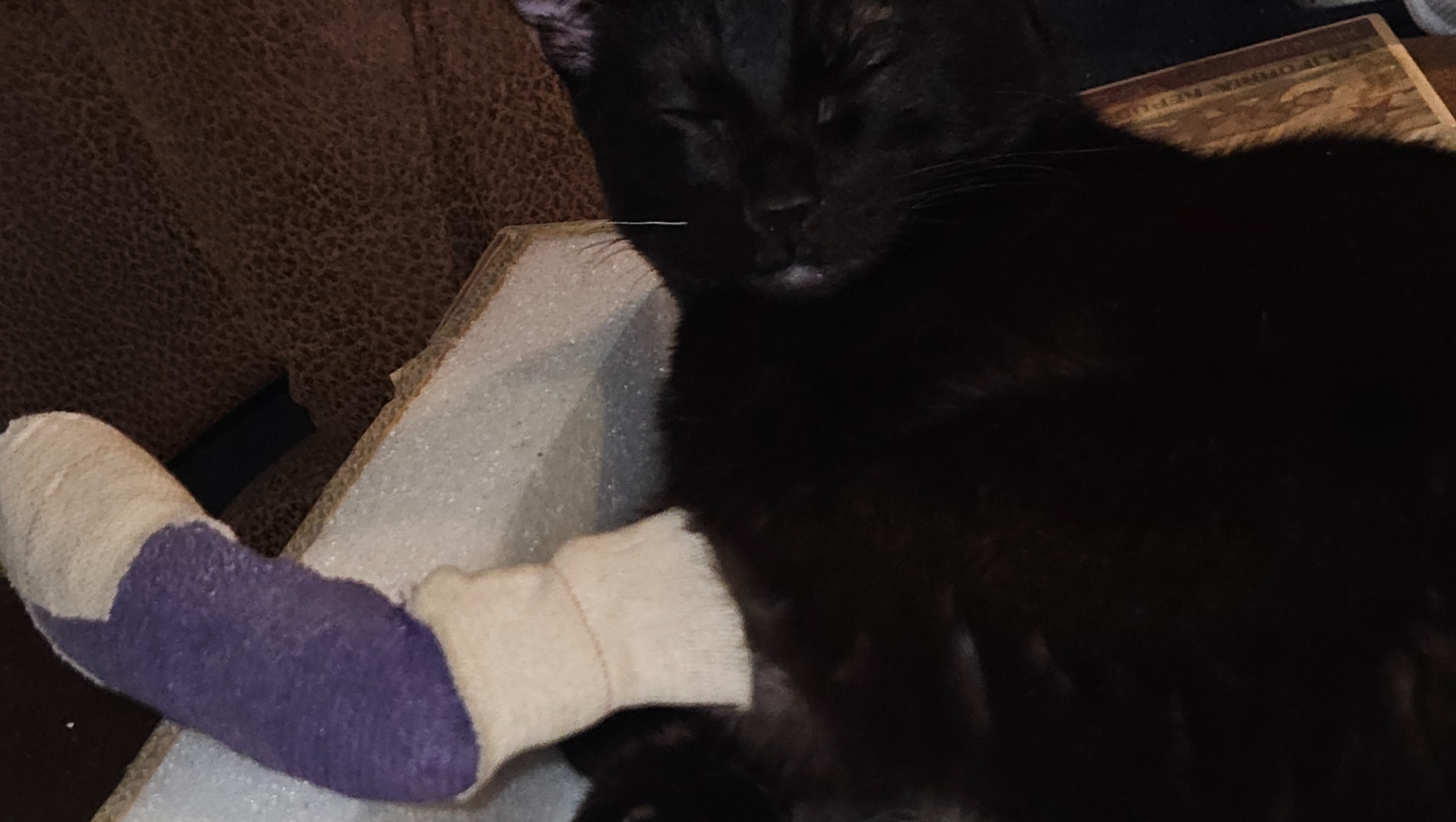 Fundraiser by James Martin III : For tissue surgery